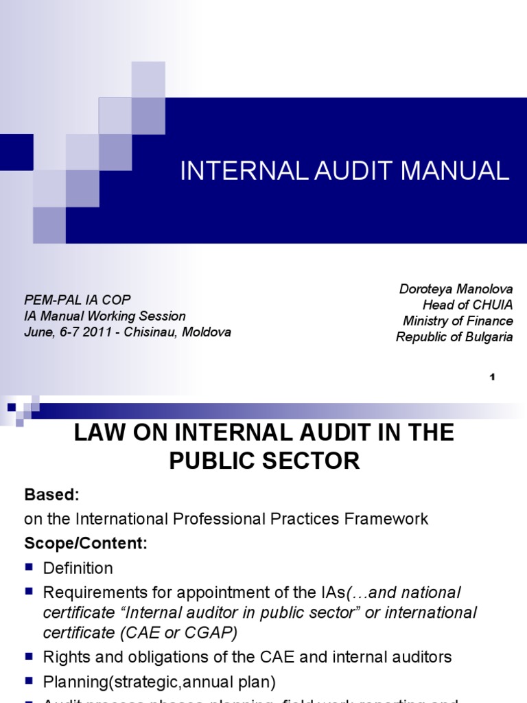 Public Sector Internal Audit Guide | PDF | Internal Audit | Audit