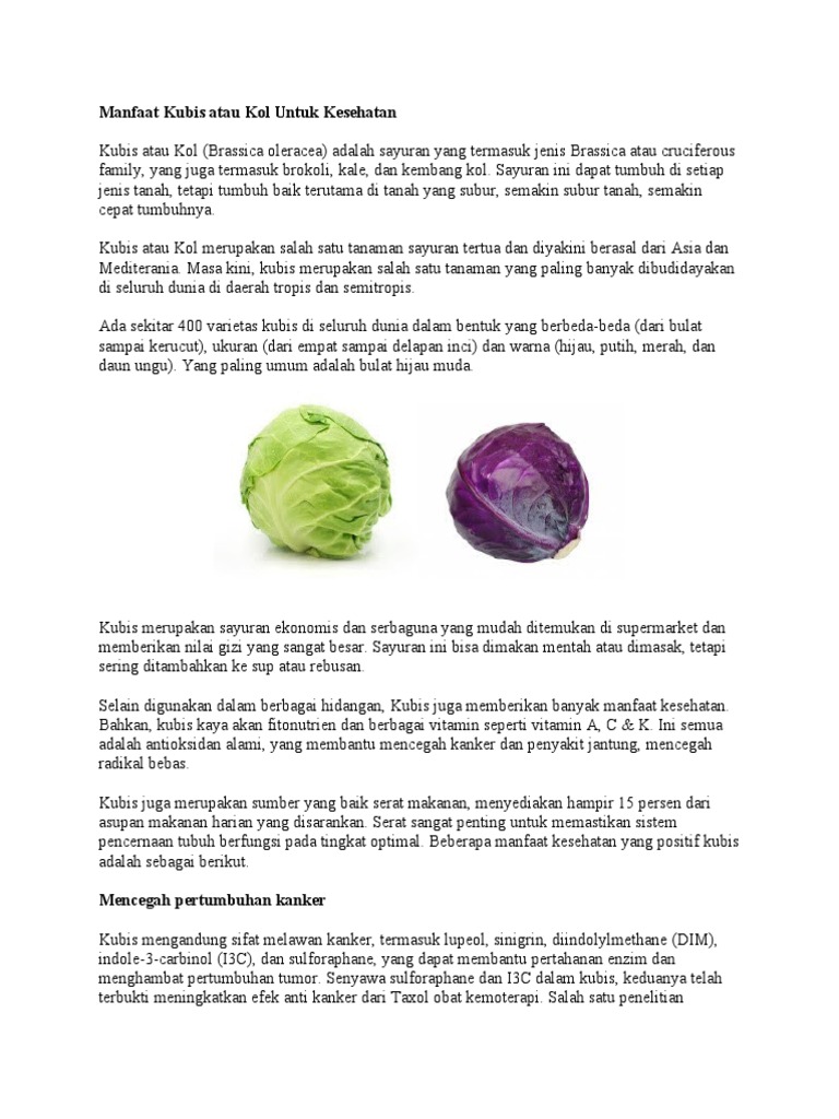 Manfaat Kubis Atau Kol Untuk Kesehatan | PDF | Kesehatan Holistik | Sains & Matematika