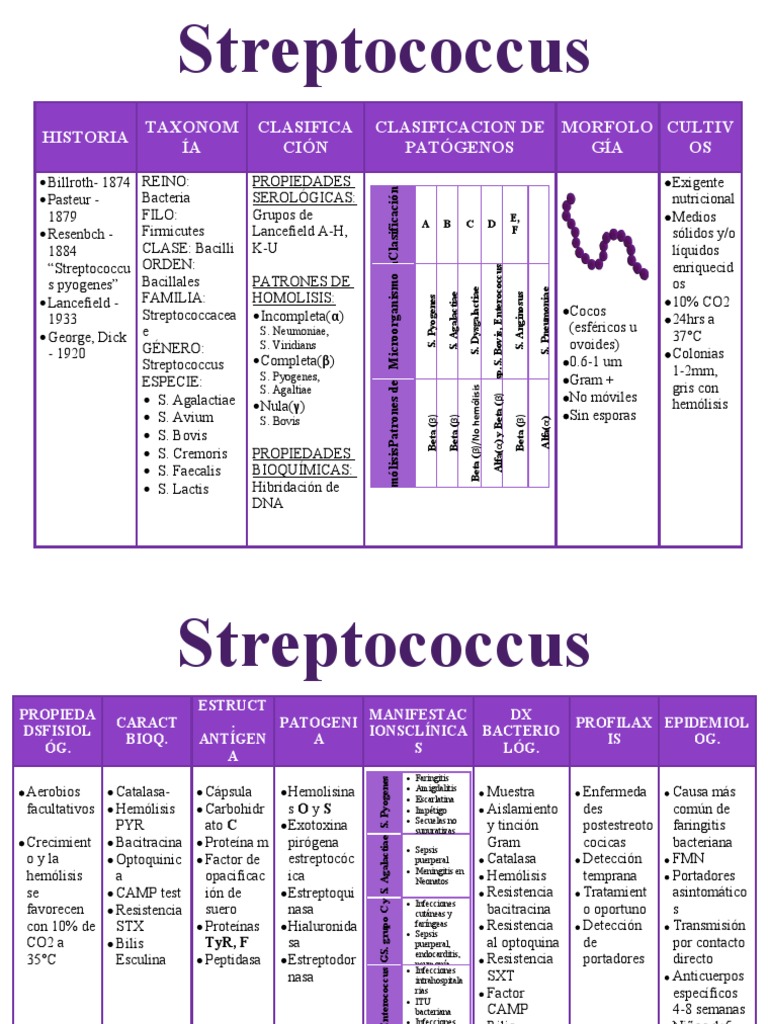 Clasificación, caracterización y patogenicidad de Streptococcus | PDF ...