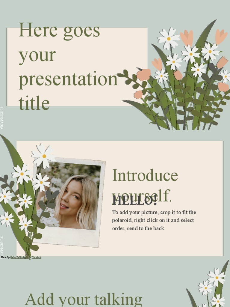 Vivian SlidesMania | Download Free PDF | Software