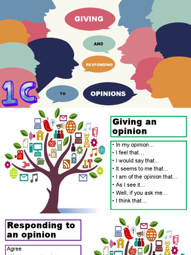 1C Giving and Responding To Opinions | PDF