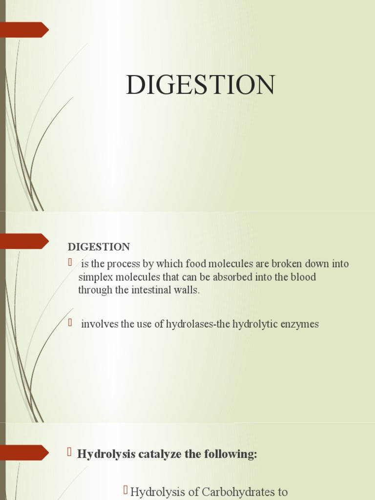 BIOCHEM Digestion | PDF | Digestion | Stomach