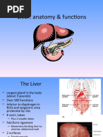 Liver Anatomy and Physiology | PDF | Liver | Medical Specialties