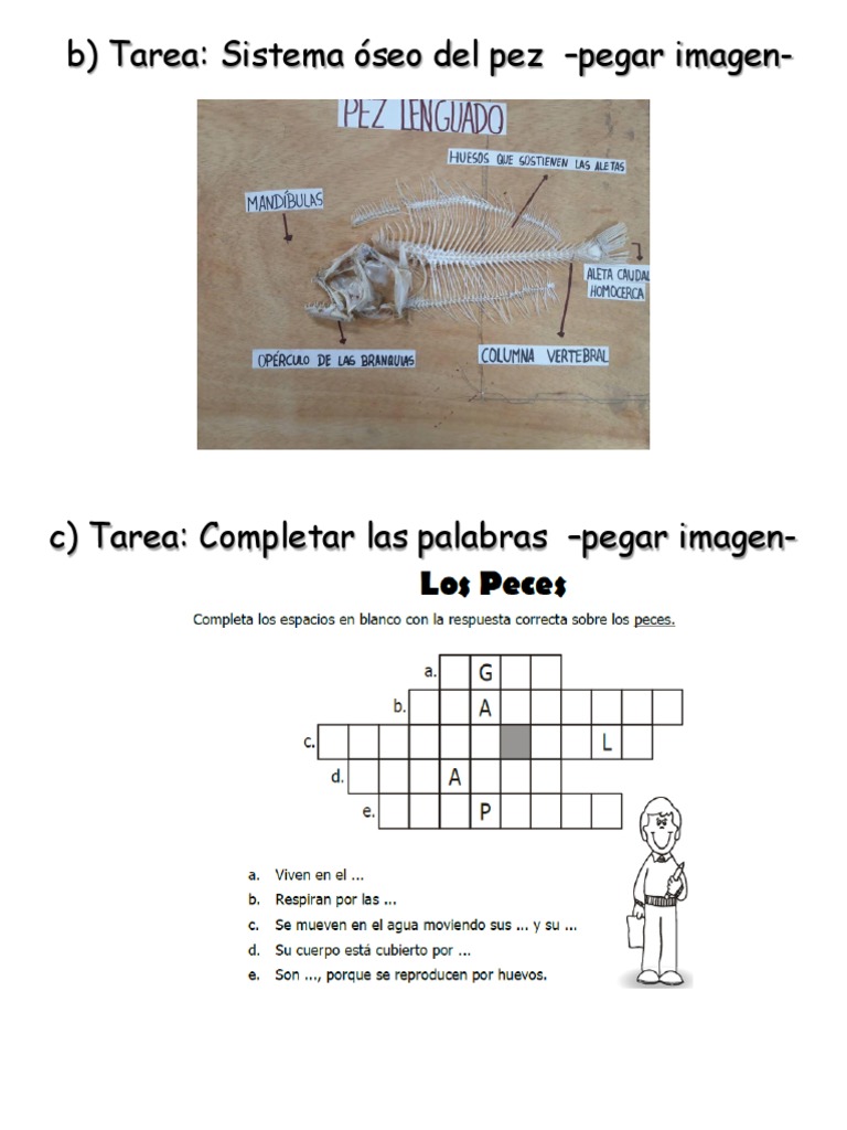 Cuarto 2021 Los Peces | PDF