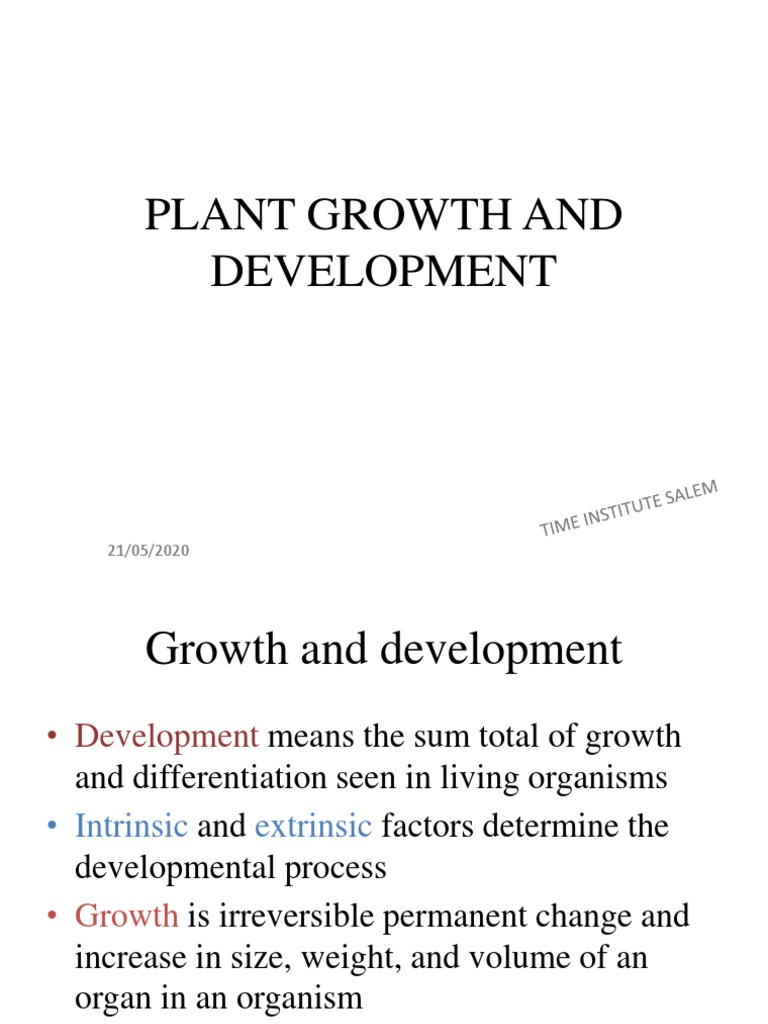 Plant Growth and Development | PDF | Plant Hormone | Auxin