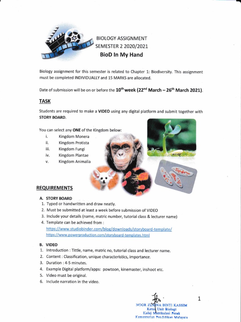 Assignment SDS | PDF | Communication