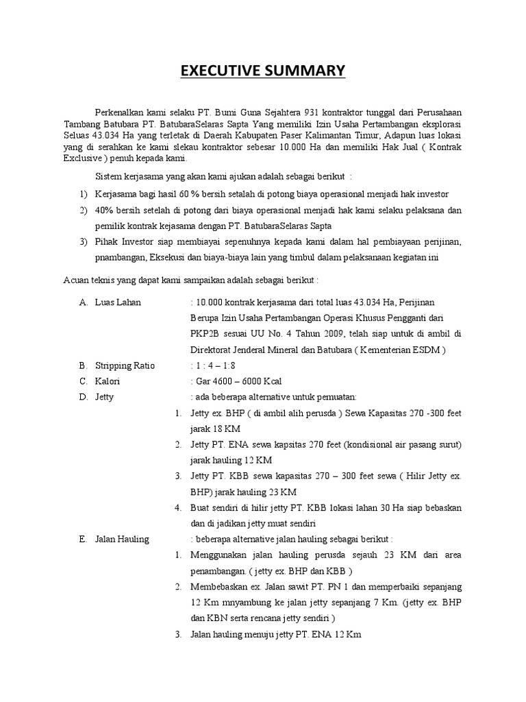 Executive Summary (BSS) | PDF