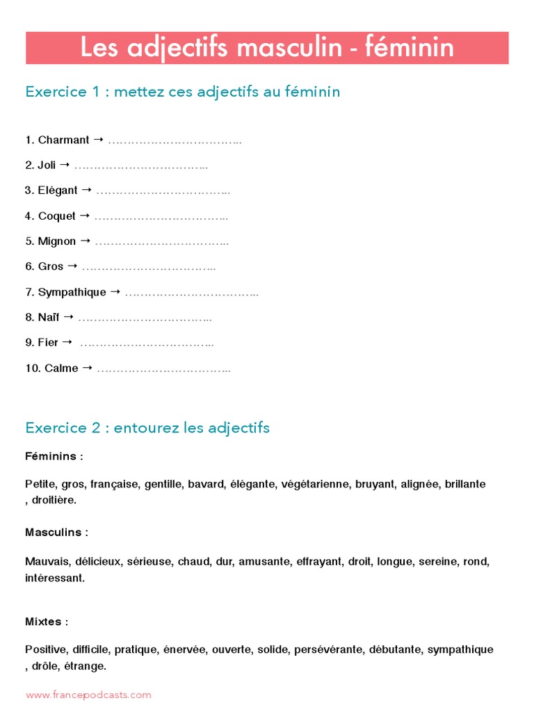 Adjectifs Masculin Féminin Exercices Et Corrigés | PDF