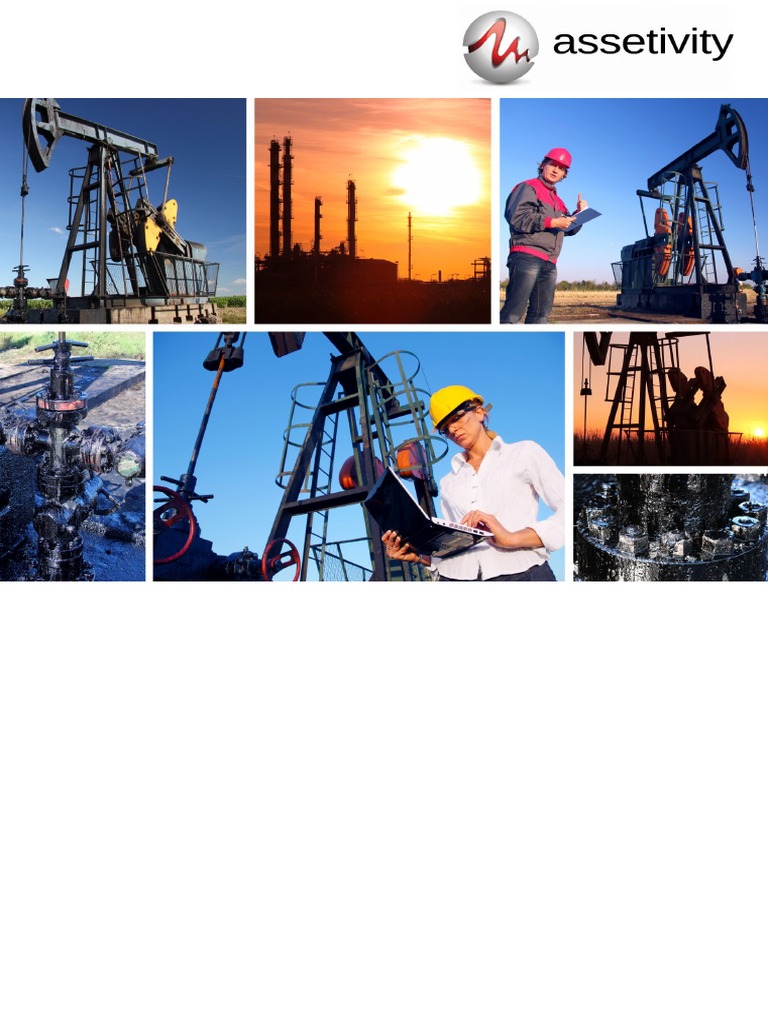 Strategic Asset Management Plan (SAMP) | Download Free PDF | Risk ...