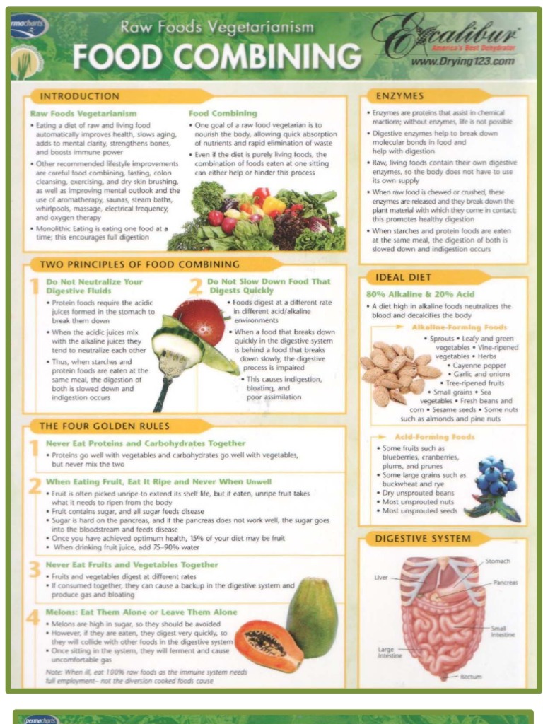 Raw vs Cooked Food Guide | PDF