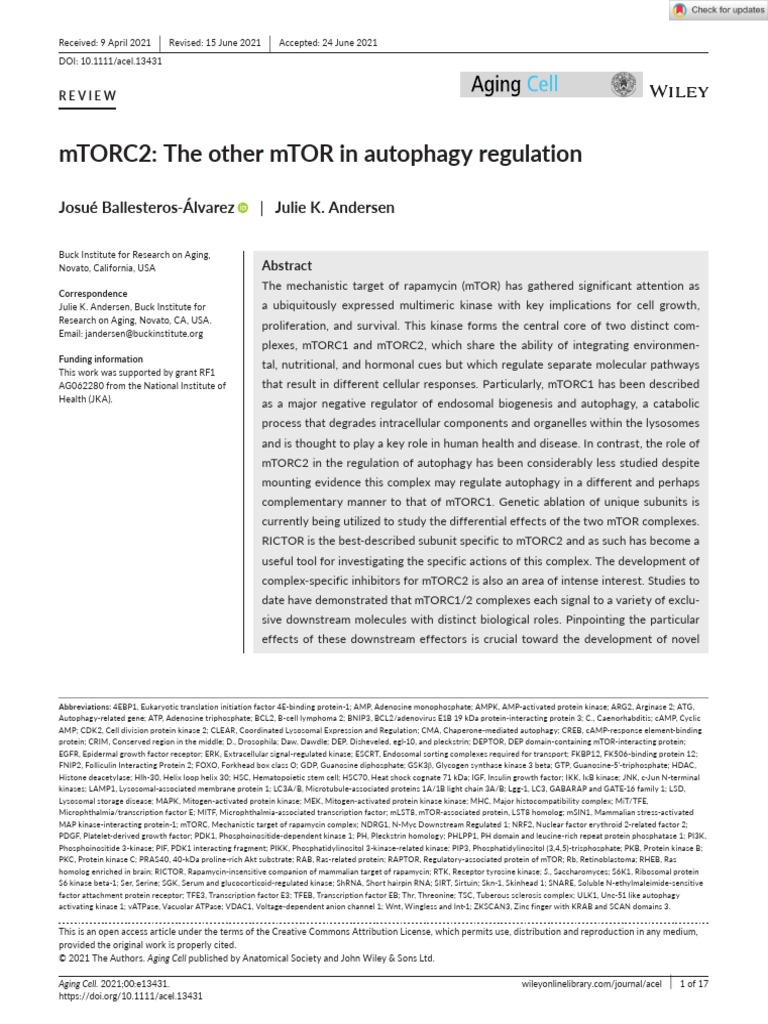 MTORC2 - The Other MTOR in Autophagy Regulation | PDF | Protein Kinase B | Autophagy