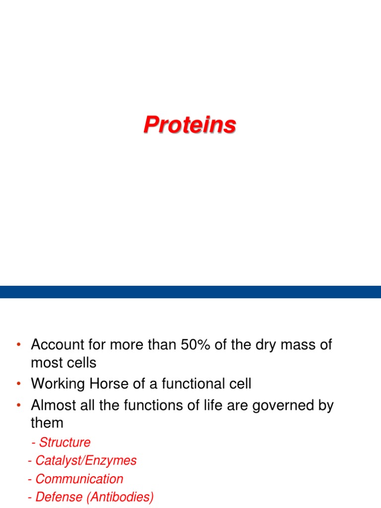 Lecture - 4-Proteins | PDF | Biomolecular Structure | Proteins