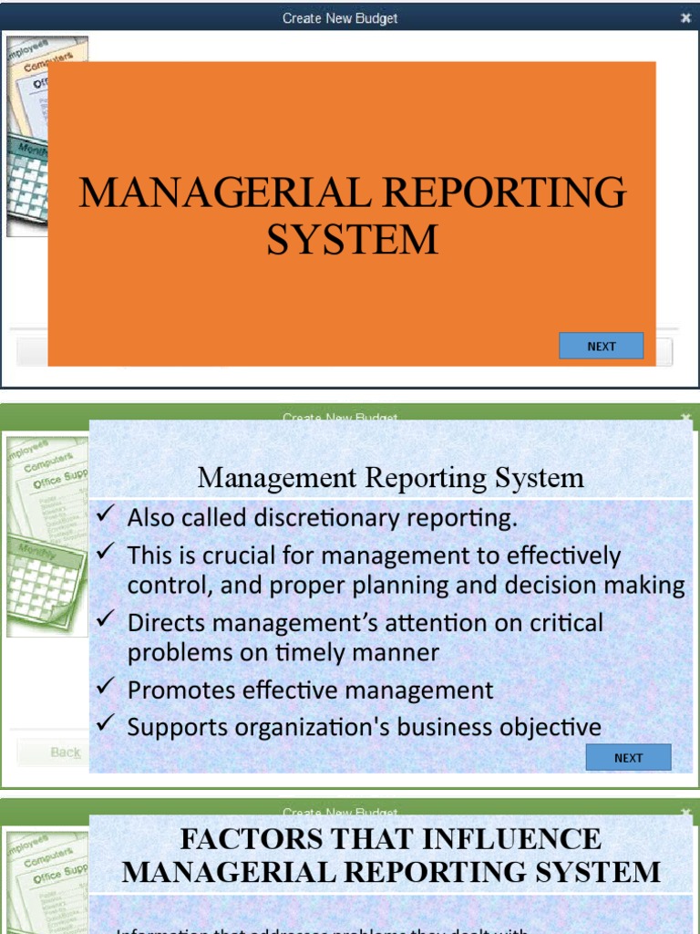Management Reporting System | PDF | Economies | Cognition