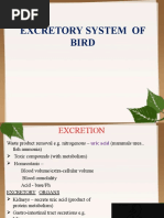 Digestive System in Non-Ruminants | PDF | Digestion | Human Digestive System