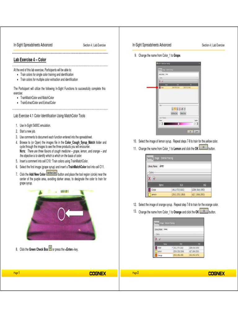 Lab Exercise 4 - Color: In-Sight Spreadsheets Advanced In-Sight ...