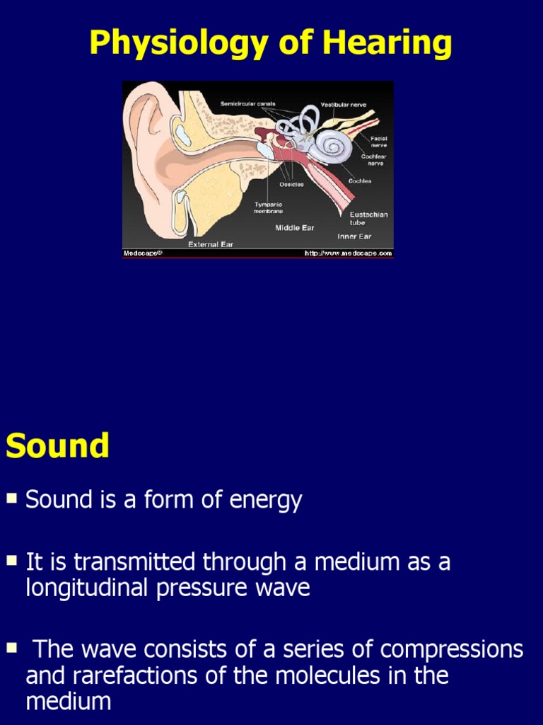 Physiology of Hearing | PDF | Ear | Auditory System