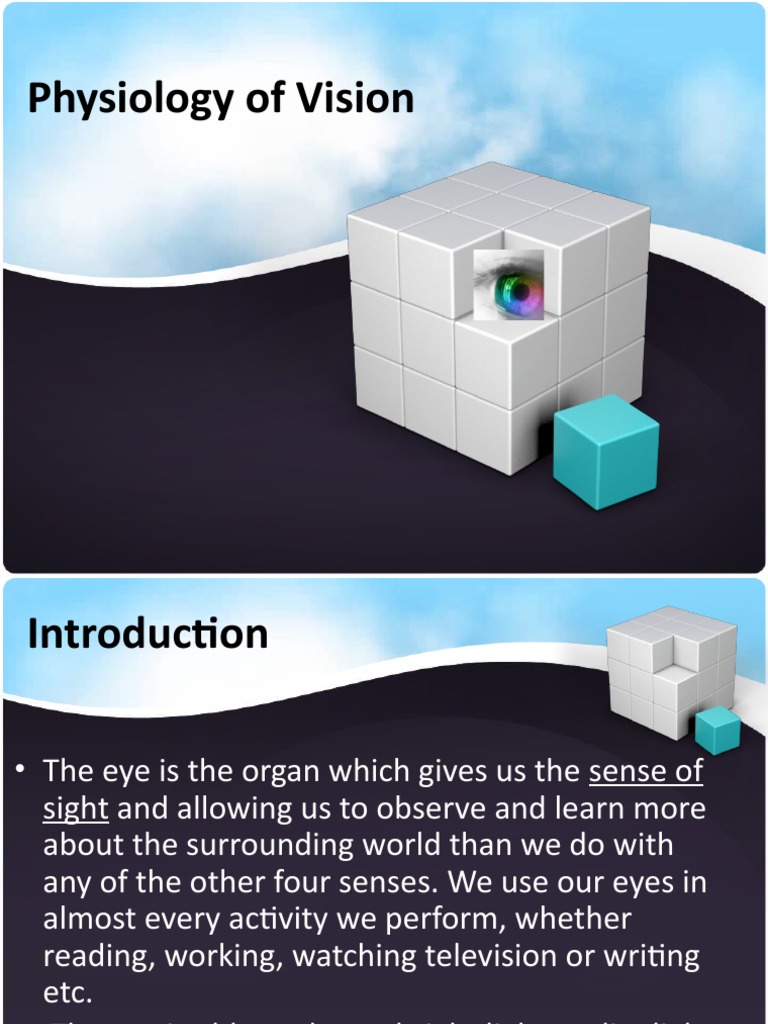 Physiology of Vision | Download Free PDF | Eye | Visual System