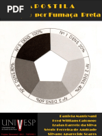 Escala Ringelmann | PDF