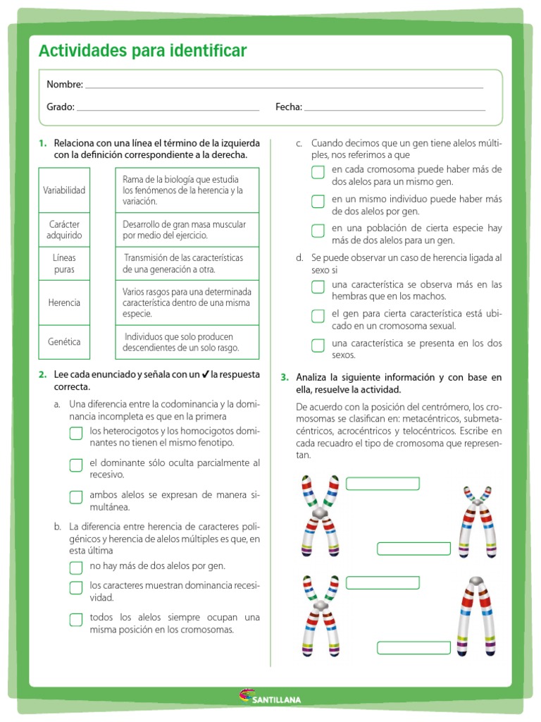 Actividades de Genética y Herencia | PDF | Dominancia (Genética ...