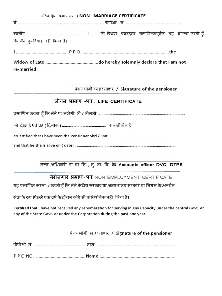 Non - Marriage Certificate | PDF