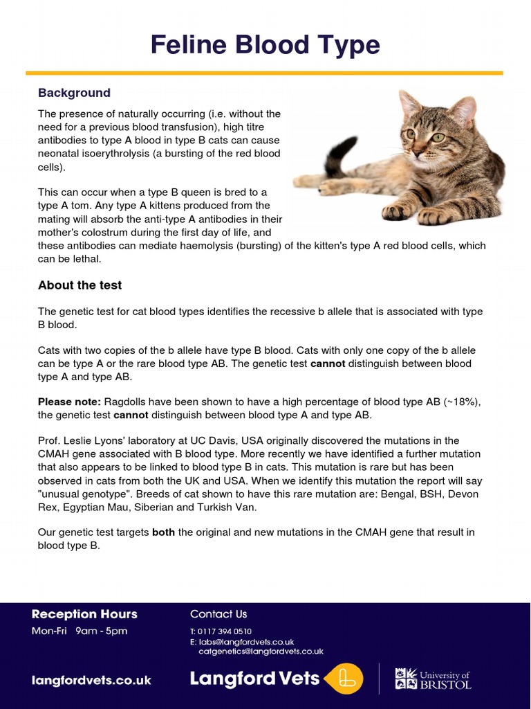 Feline Blood Type | PDF | Blood Type | Zygosity