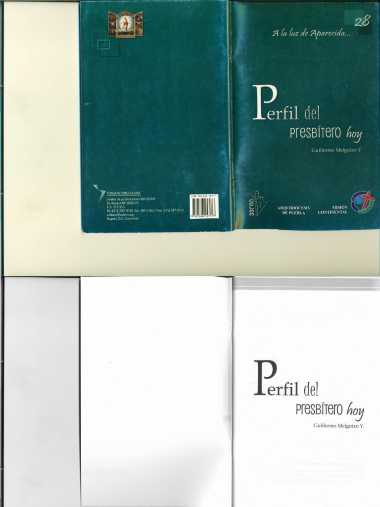 Perfil Del Presbitero Hoy | PDF | Sacerdote | Iglesia Católica