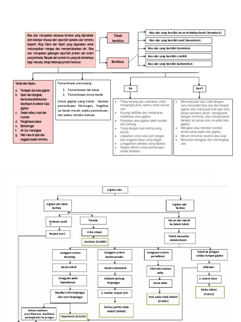 WOC Gigitan Ular - Devi IGD | PDF