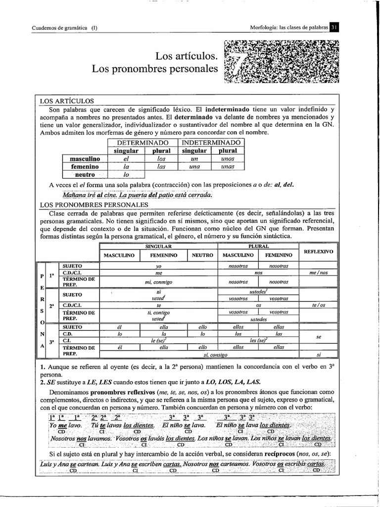 Pronombres Determinantes | PDF