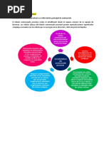 Aparato Yuxtaglomerular y Función Renal | PDF | Riñón | Biología Celular