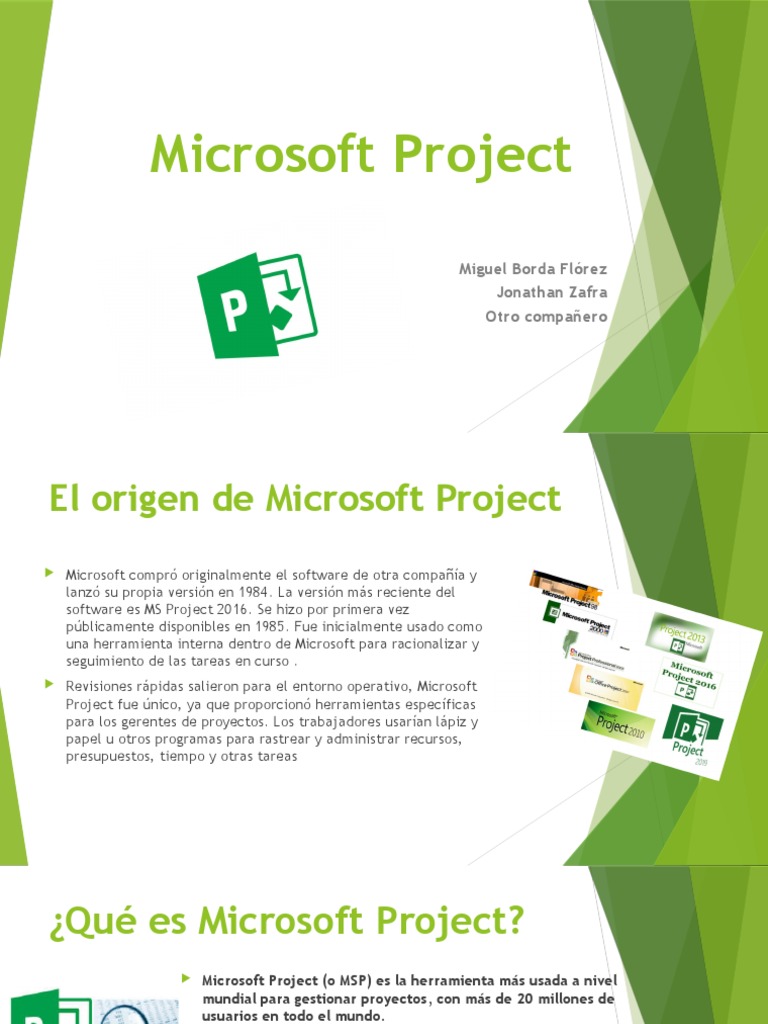 Microsoft Project | PDF | Microsoft | Software