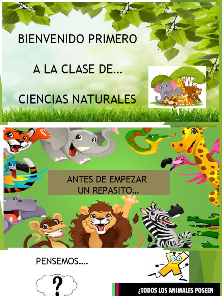 Animales 1 | PDF