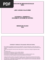 Actividad 4 - Evidencia 2. INFORME DE CARTERA | PDF | Economias | Business