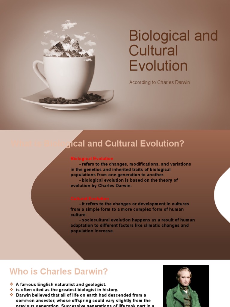 Biological and Cultural Evolution | PDF | Homo | Evolution