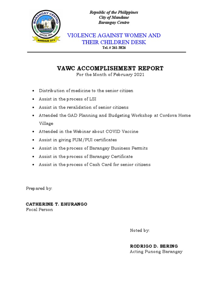 Gad and Vawc Accomplishment Report | PDF