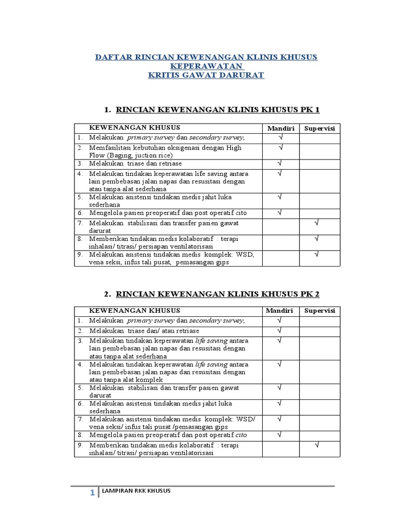 Contoh RKK Kritis IGD, Anak Dan Kebidanan | PDF