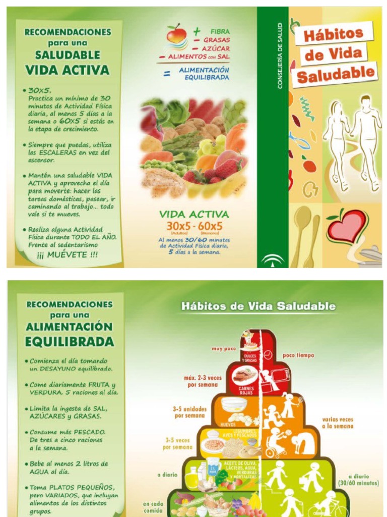 Triptico de Alimentacion Saludable | PDF
