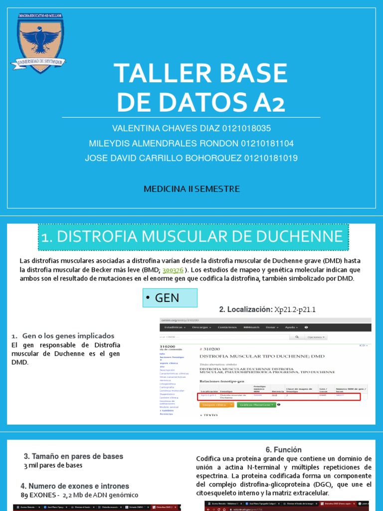 Taller Entregable Base de Datos A2 | PDF | Hemoglobina | Gene