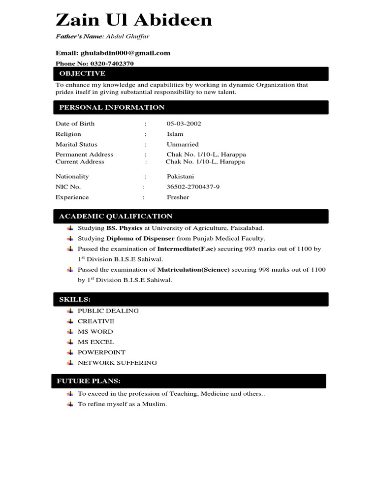 Zain CV | PDF