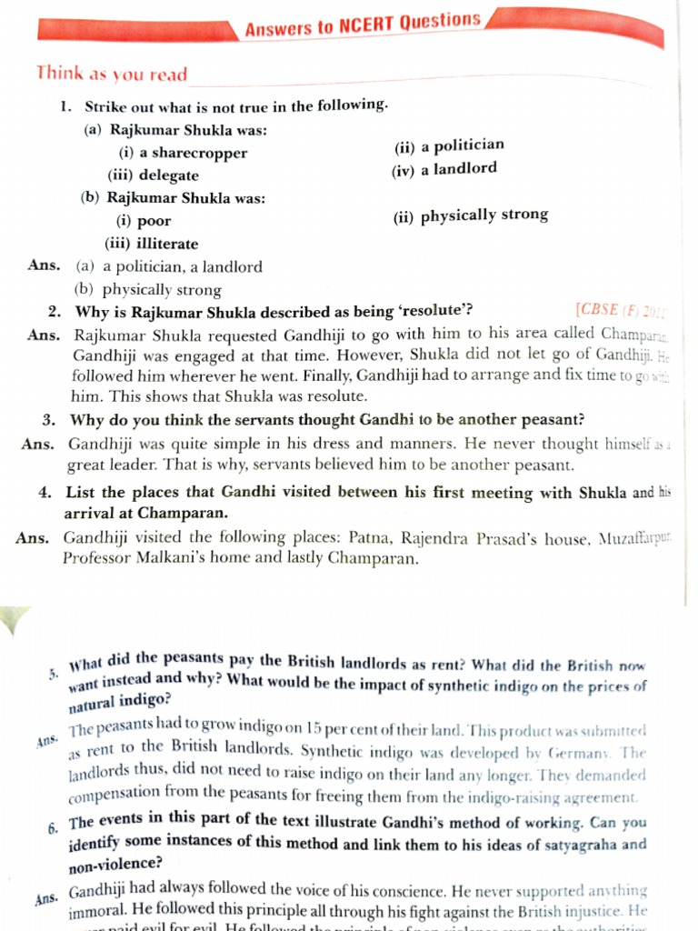 Indigo, Class 12th | PDF | Mahatma Gandhi