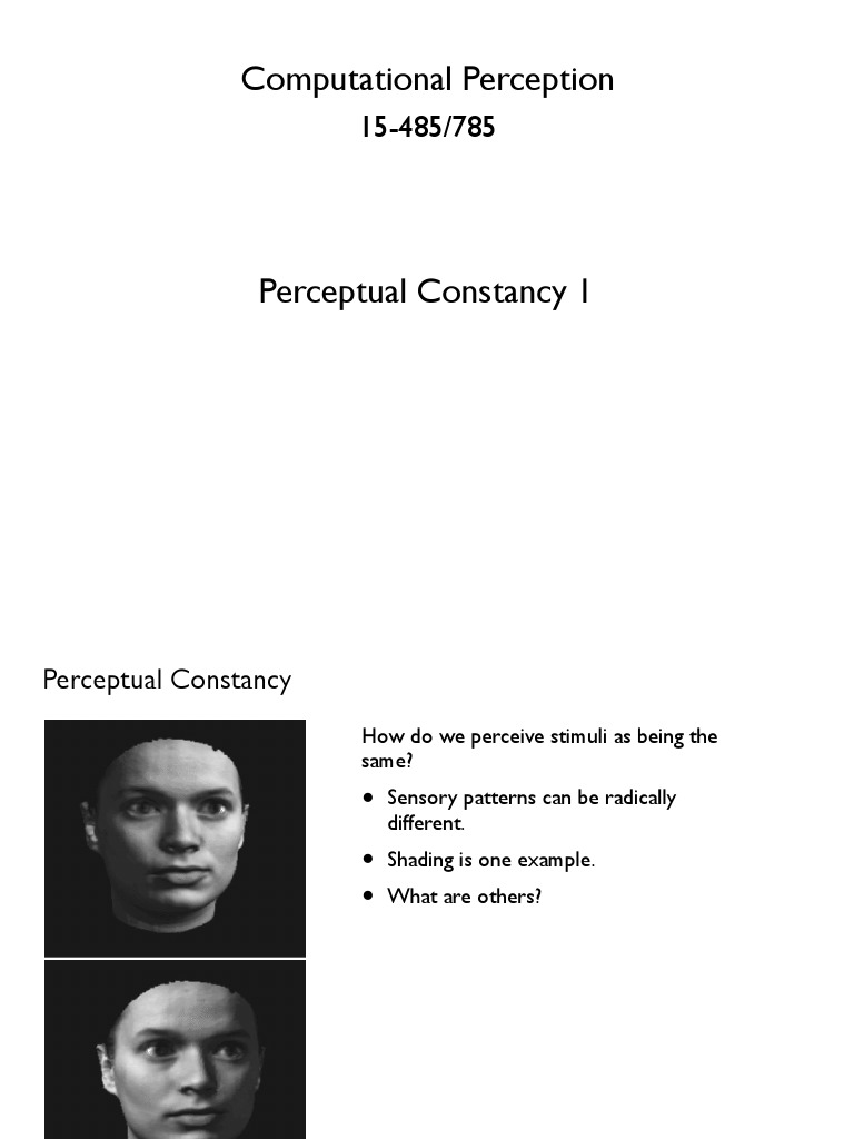 Perceptual Constancy1 | PDF | Perception | Neuropsychology