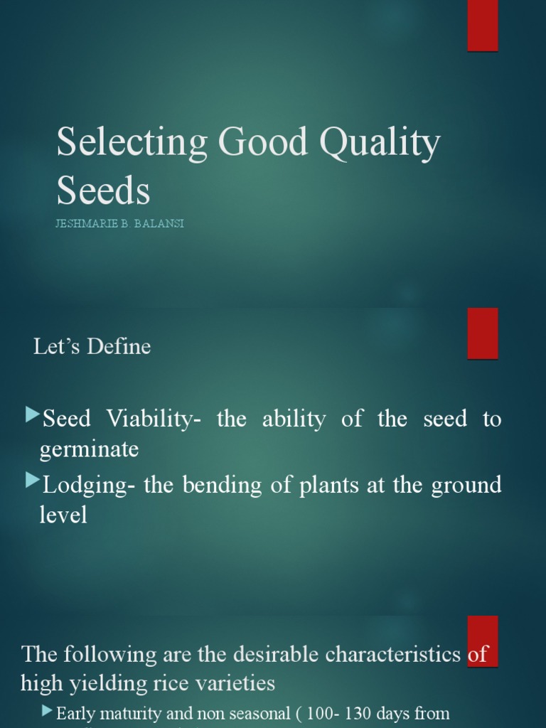 Selecting Good Quality Seeds | PDF | Seed | Rice