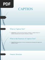 Types of Caption Text Explained | PDF | Career & Growth | General Fiction