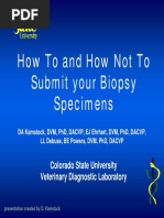 General Grossing Guidelines | PDF | Pathology | Biopsy