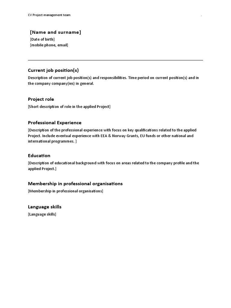 09 Cvs Project-Management-Team v.1.0 | PDF