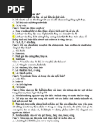 De Thi Dan Luan Ngon Ngu Hoc | PDF