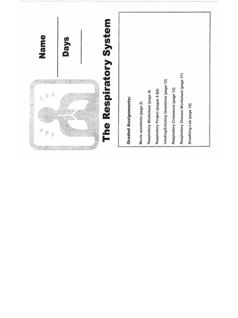 WORKSHEET Respiratory System Packet 14 | PDF