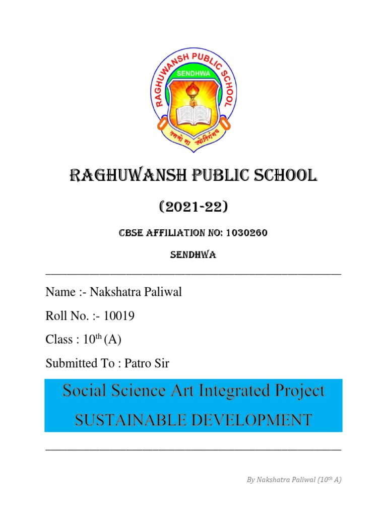Class 10 Sustainable Development Project | PDF | Sustainability ...