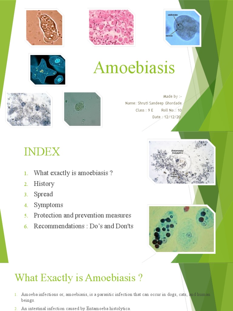Amoebiasis: Symptoms and Prevention Guide | PDF | Epidemiology ...