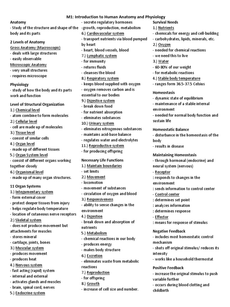 M1 Introduction To Anatomy and Physiology | PDF | Human Body | Homeostasis
