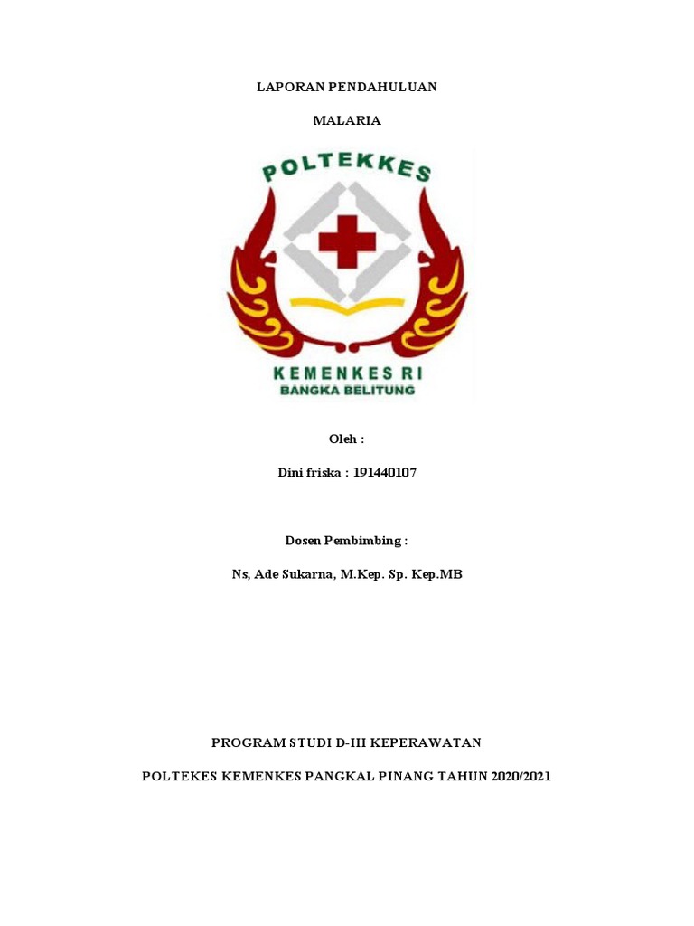 LAPORAN PENDAHULUAN Malaria Dini Friska | PDF | Pengembangan Diri ...